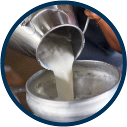 Conócenos - Chiveria